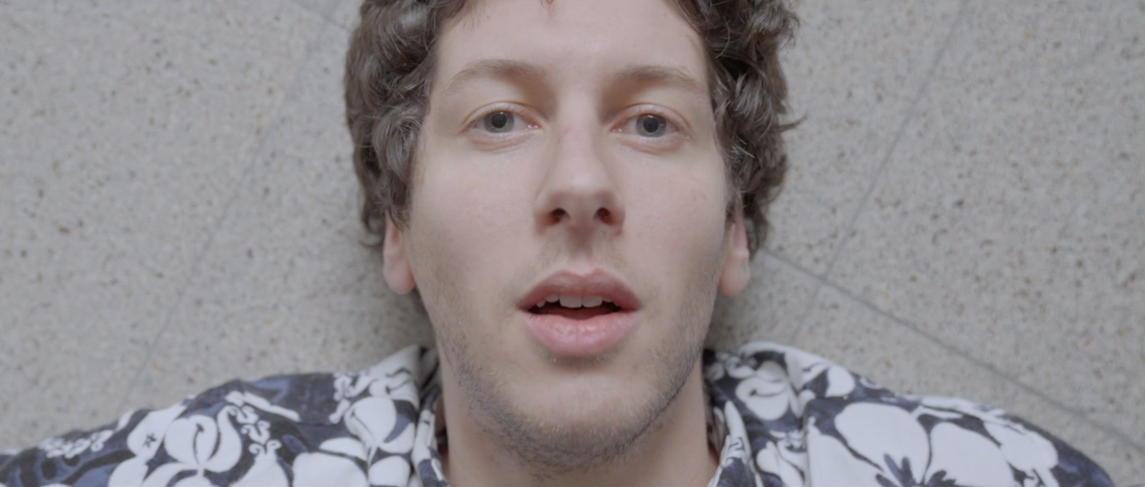 ANIMAL – Félix Albert